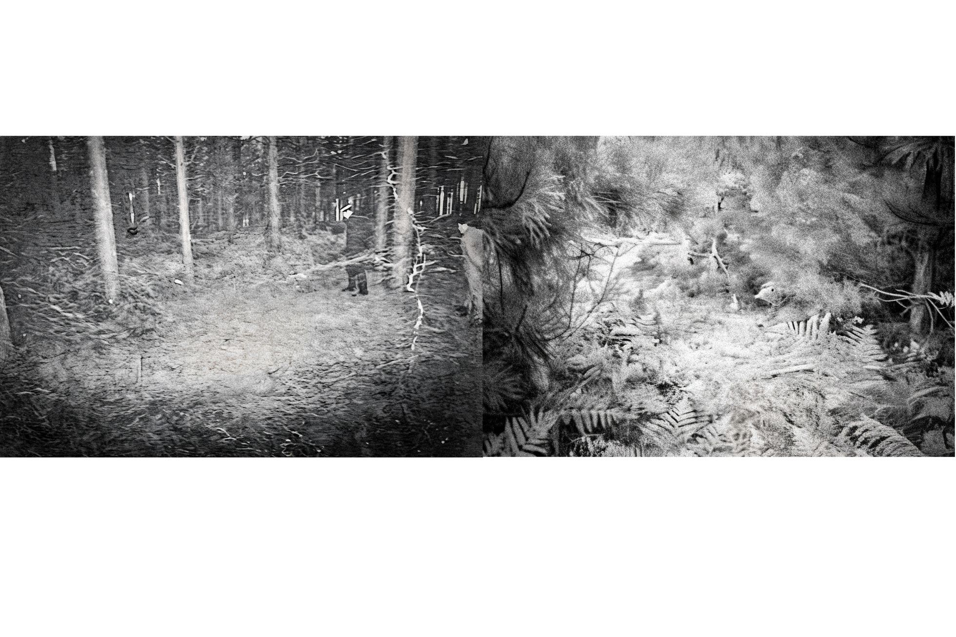 Britský Roswell: UFO incident v Rendlesham Forest 1980 a jeho děsivé ...