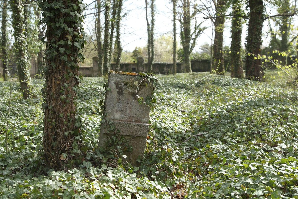 Psychiatrická nemocnice Bohnice na starých fotkách - Aktuálně.cz