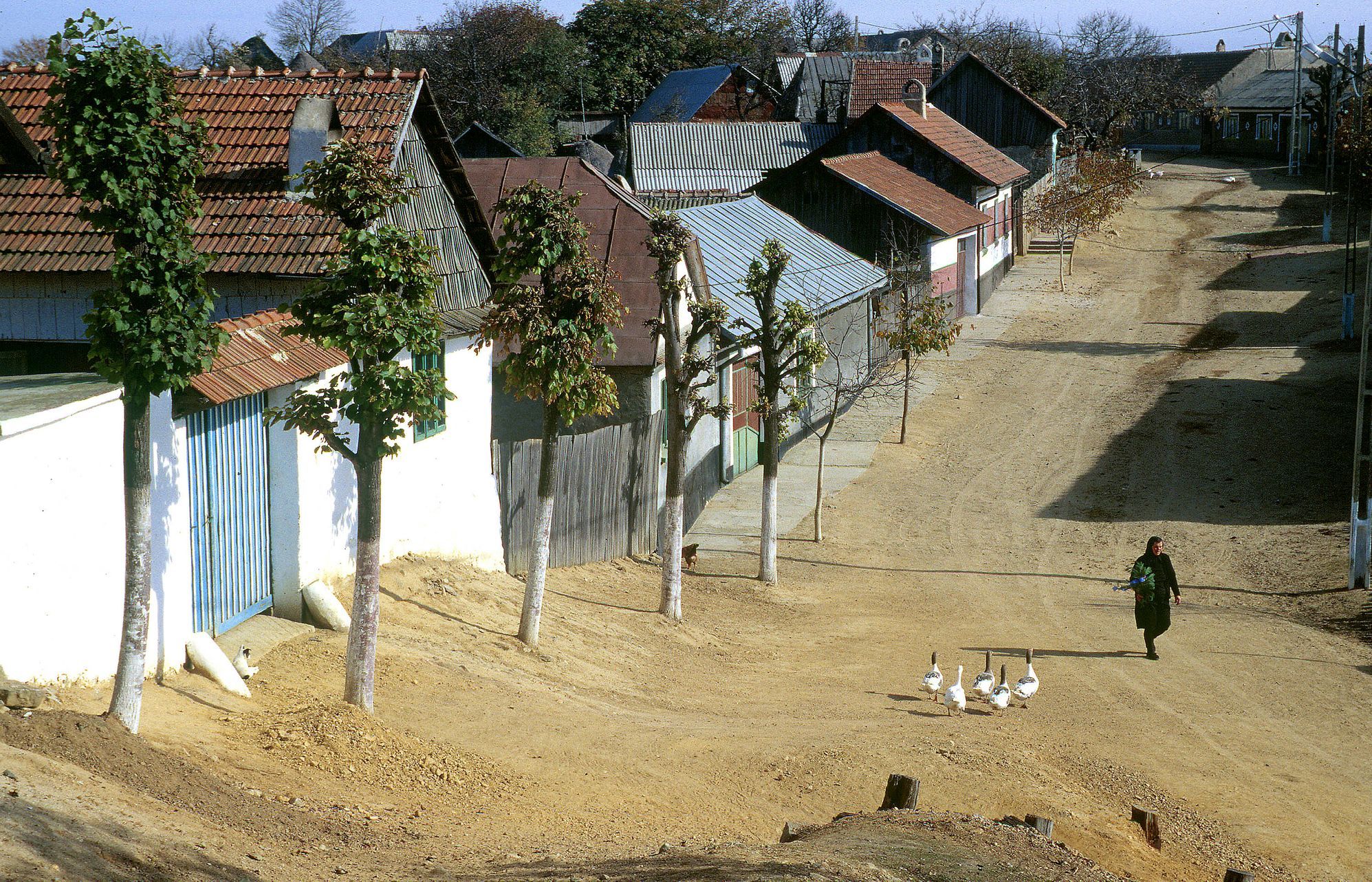 České vesnice v Banátu na historických snímcích - Aktuálně.cz