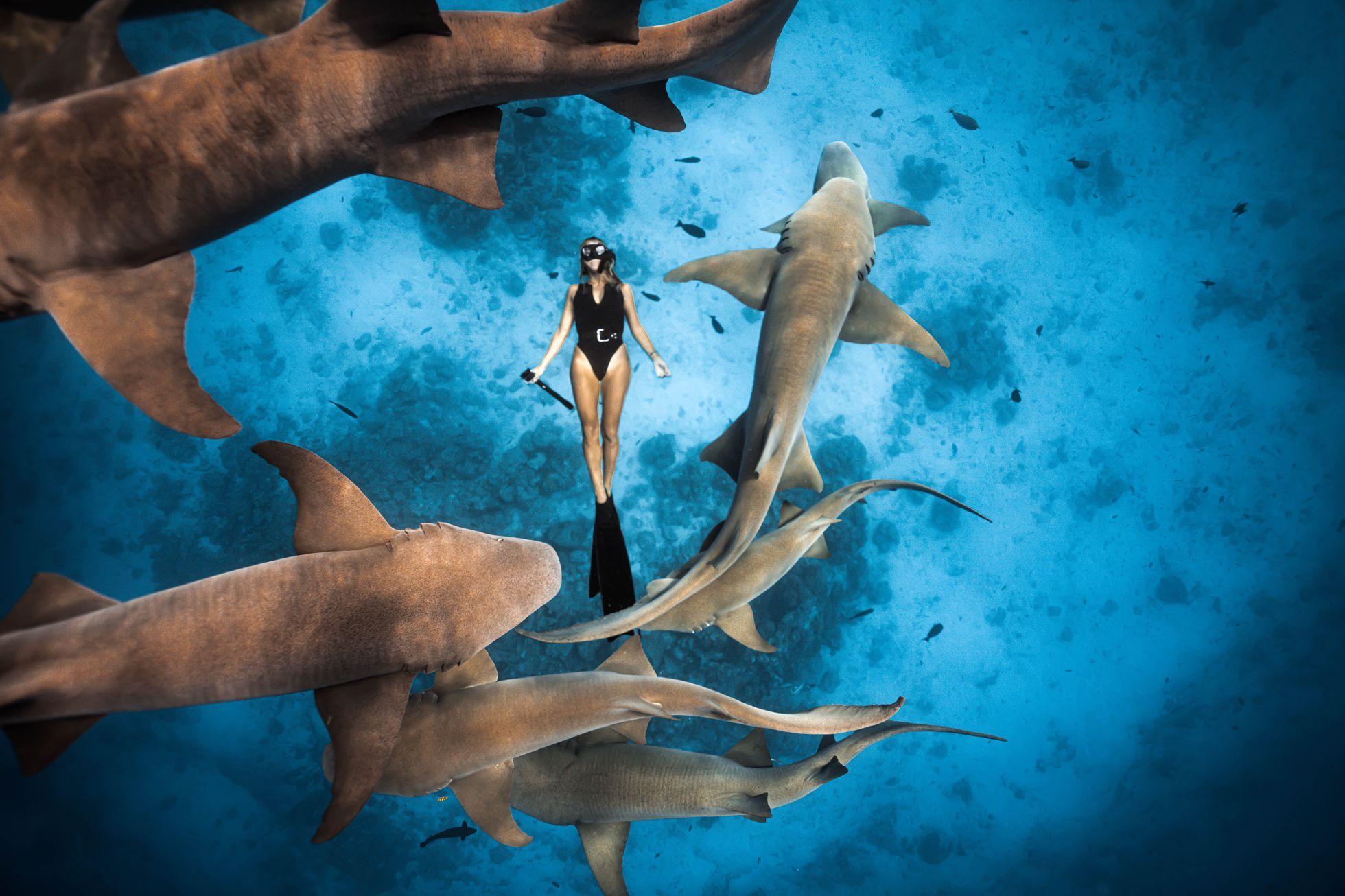 Ohrnují nos, ale pak chtějí recept. Češky ukazují, že Maledivy nejsou ...