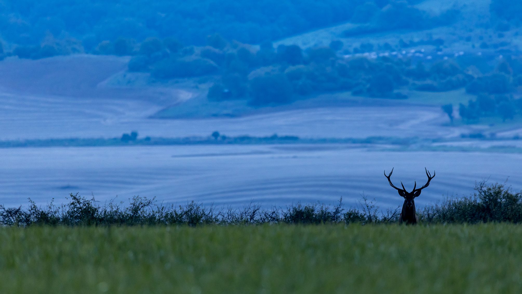 Nejlepší česká fotografie přírody: Czech Nature Photo vyhrál snímek ...