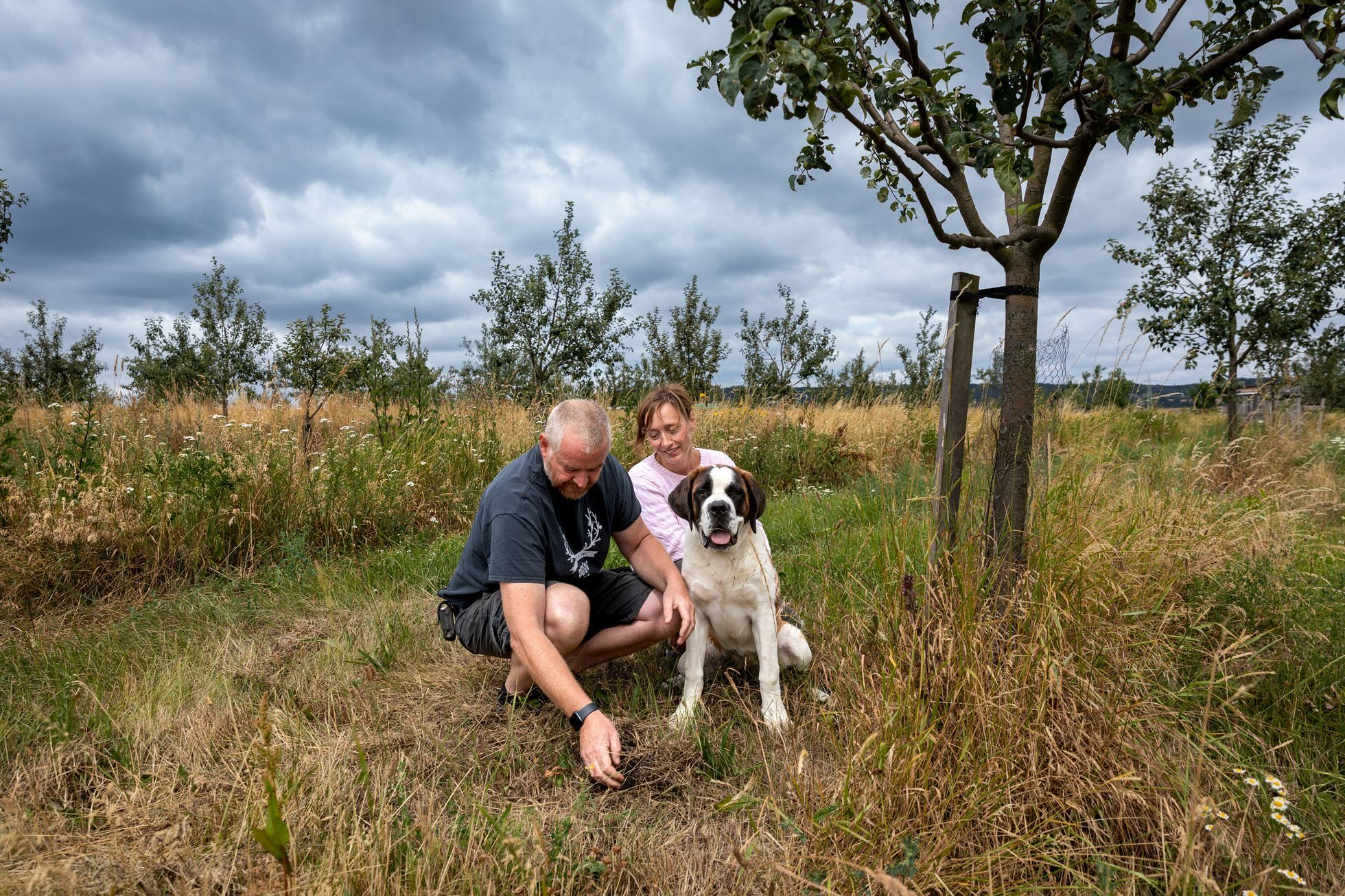 Za cider v Líšnici vyměnili byty v Praze. Ze zchátralého statku vznikl ...