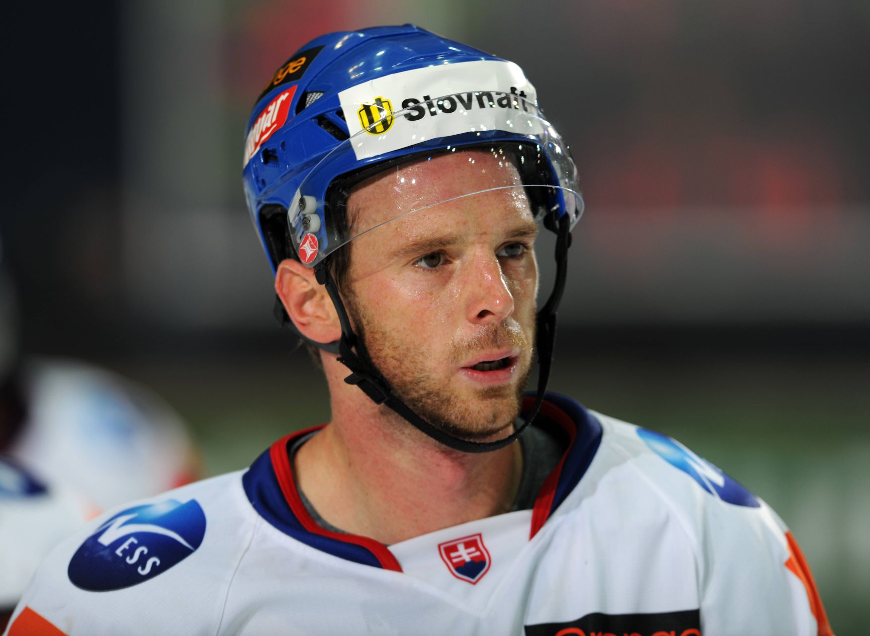 Slovenští hokejoví revolucionáři chtějí za šéfa svazu IT manažera ...