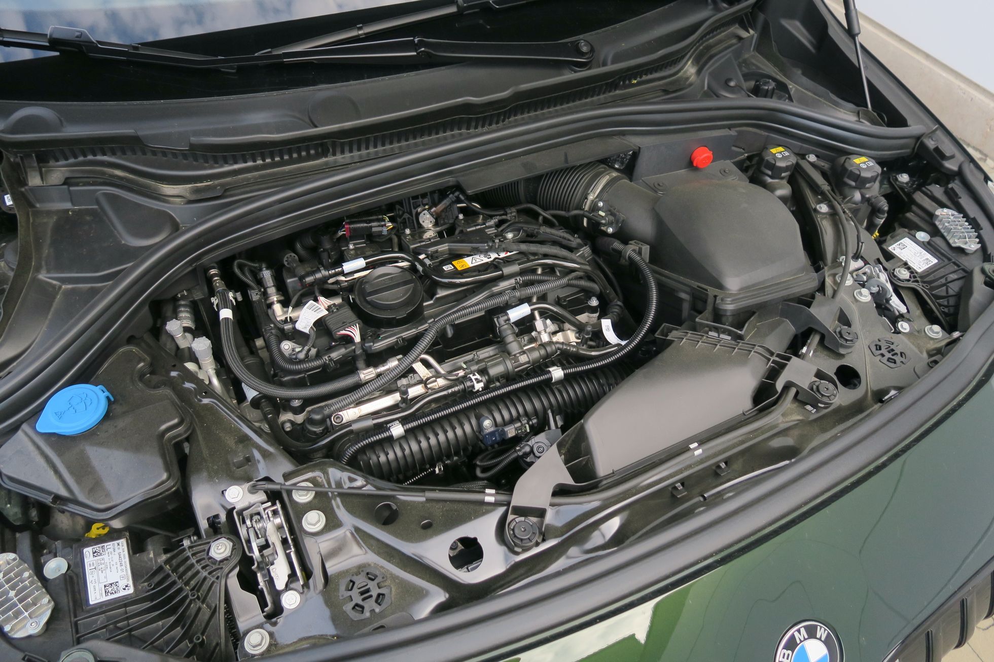 Rodinné BMW popírá lékařskou vědu. Čím větší ledviny, tím menší žízeň ...