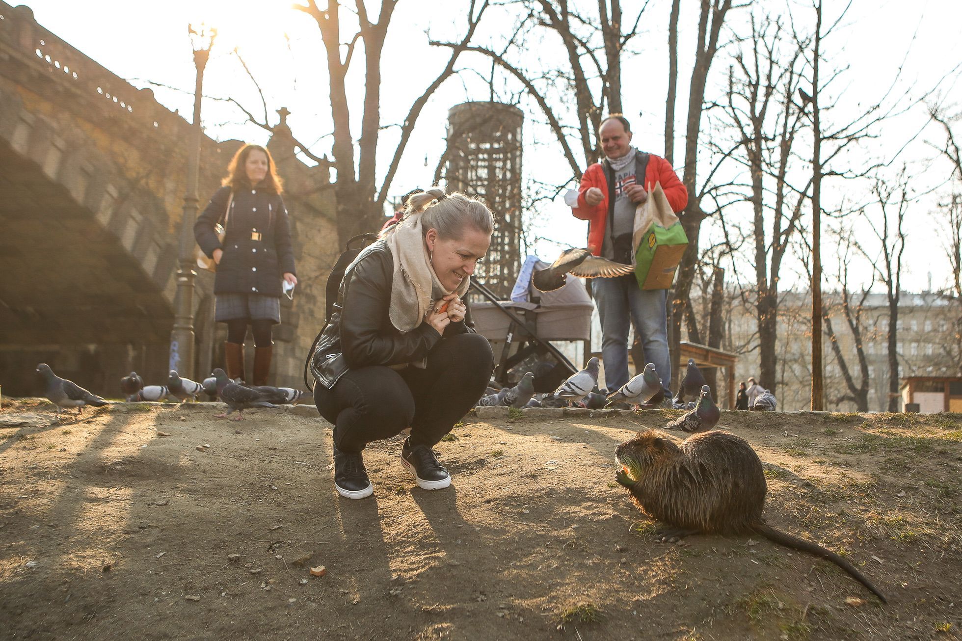 Foto: Nekrmte nutrie, prosí Praha. Chlupáči se ale stali atrakcí ...