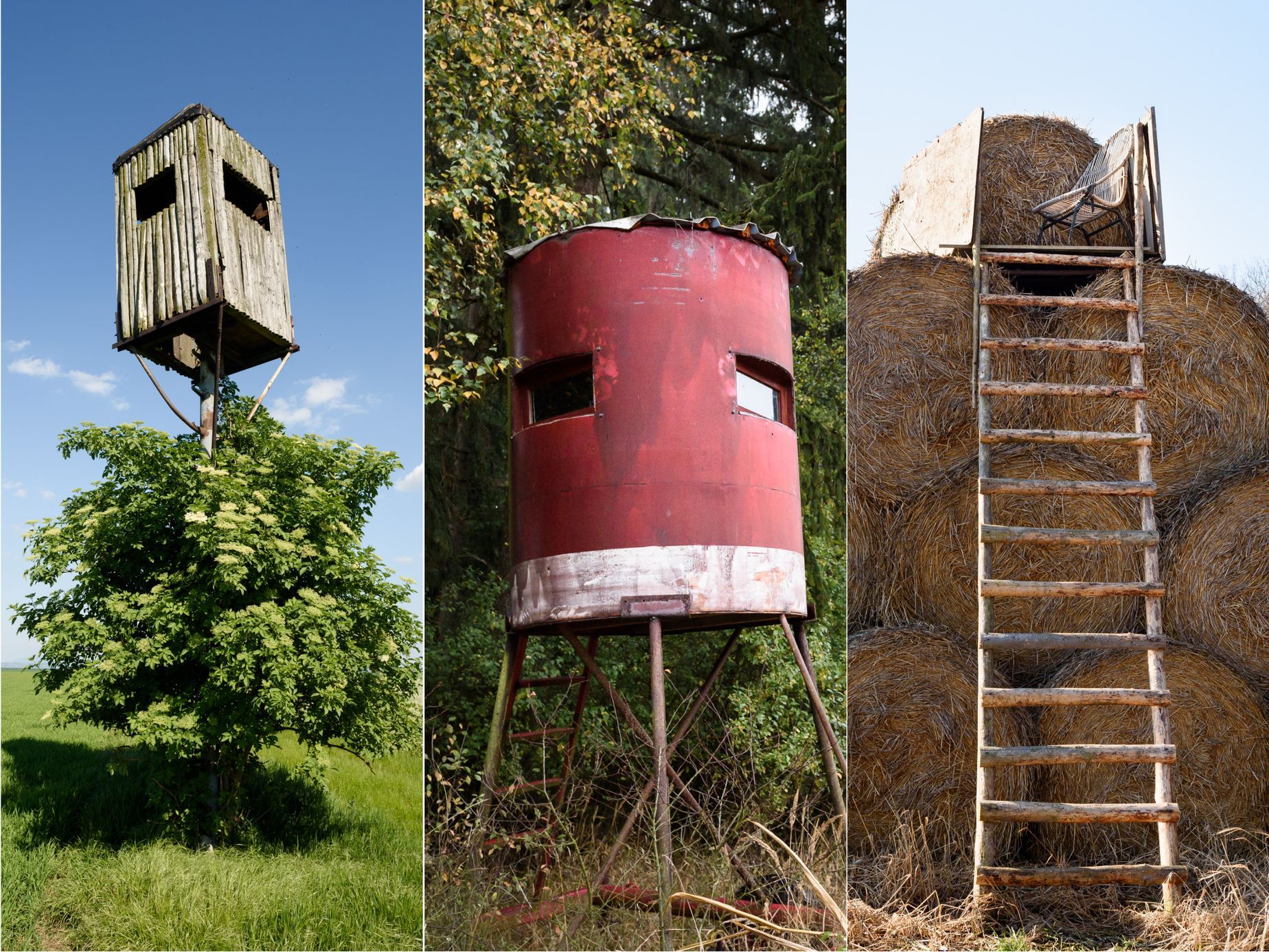 Nové úlovky lovce českých posedů. Nechte se uhranout géniem myslivecké ...