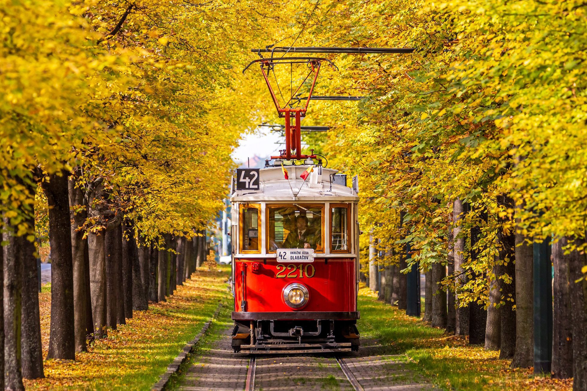 Fotky roku Radoslava Vnenčáka: Čtvero ročních období a magická krása Prahy, barev, mlh a světla ...