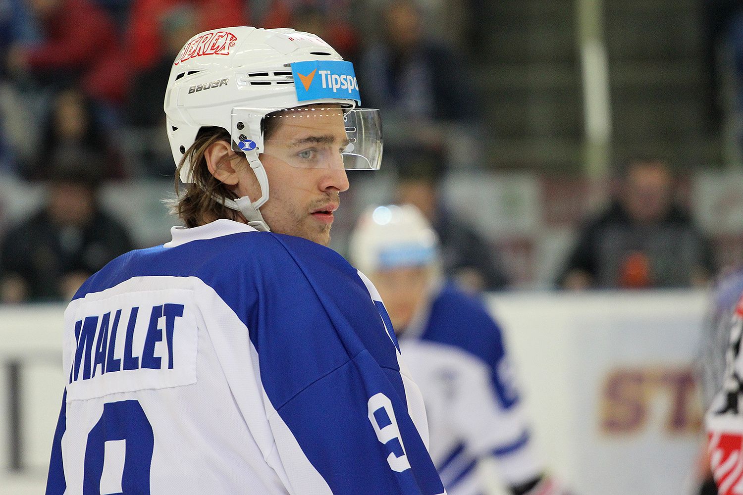 Hokejisté Mallet a Gernát odepíšou deset procent z platu. Kvůli bodnutí ...