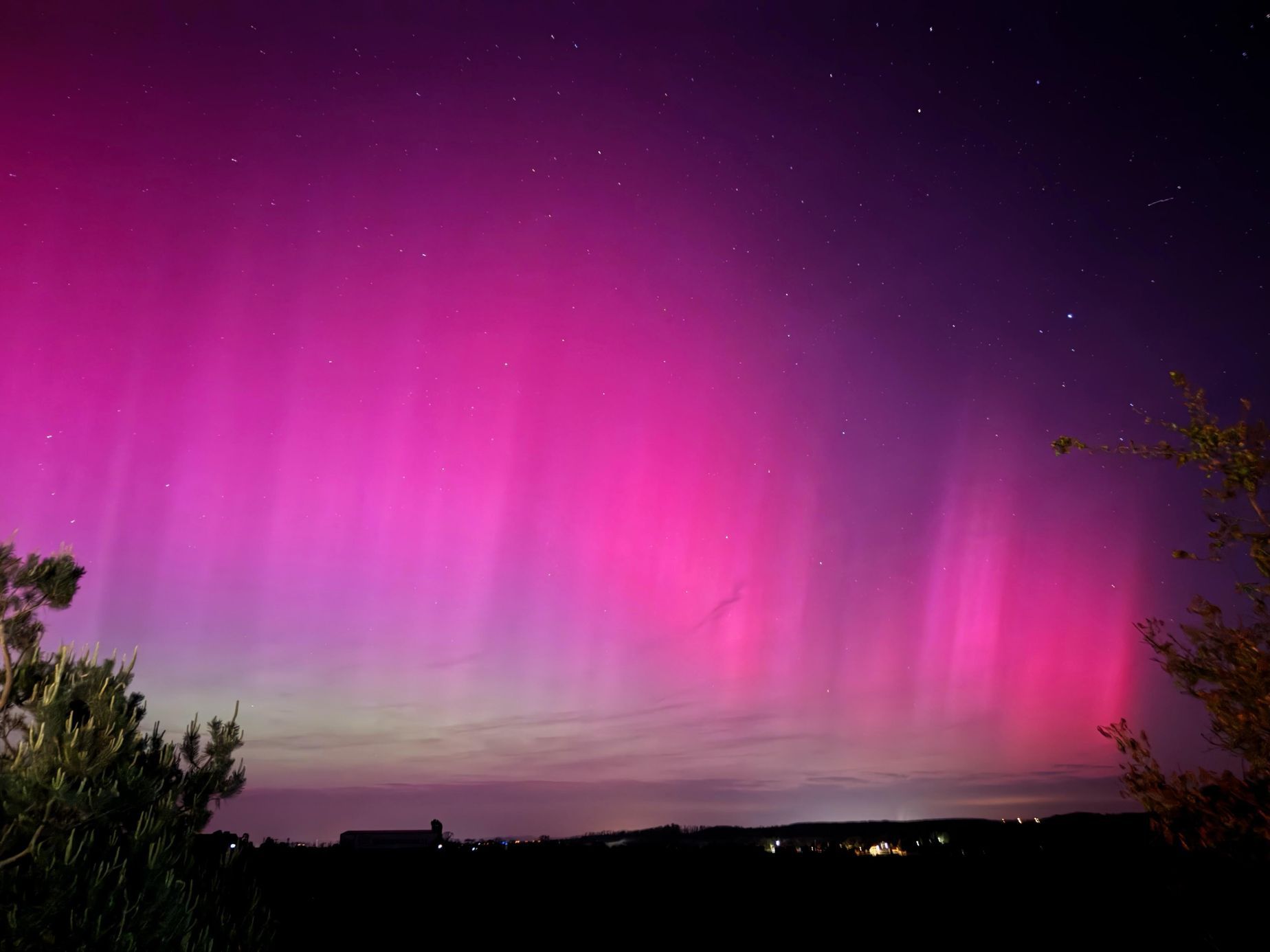 Zážitky, které vám nedají spát: noční safari i bioluminiscenční pláž ...