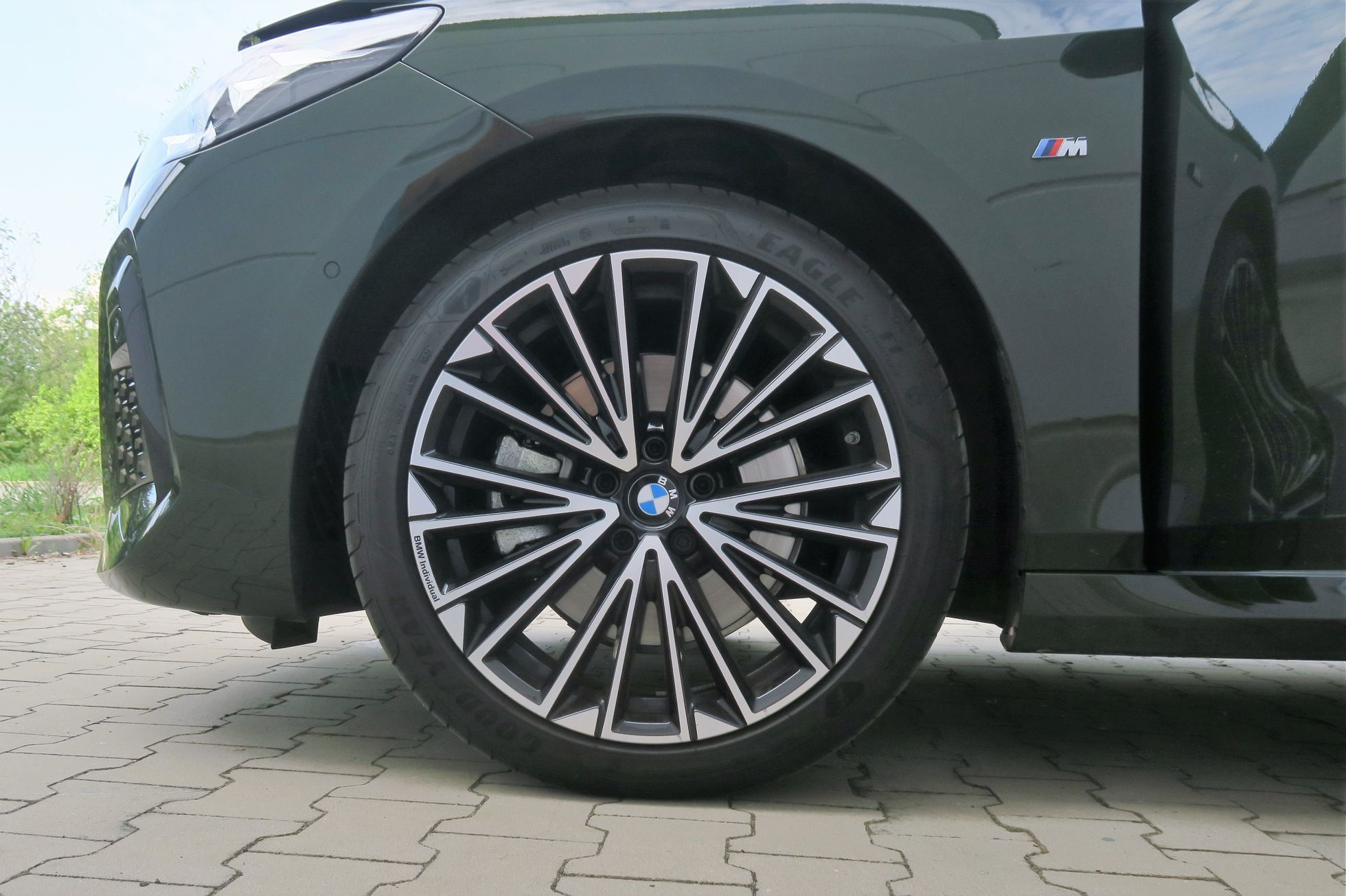 Rodinné BMW popírá lékařskou vědu. Čím větší ledviny, tím menší žízeň ...