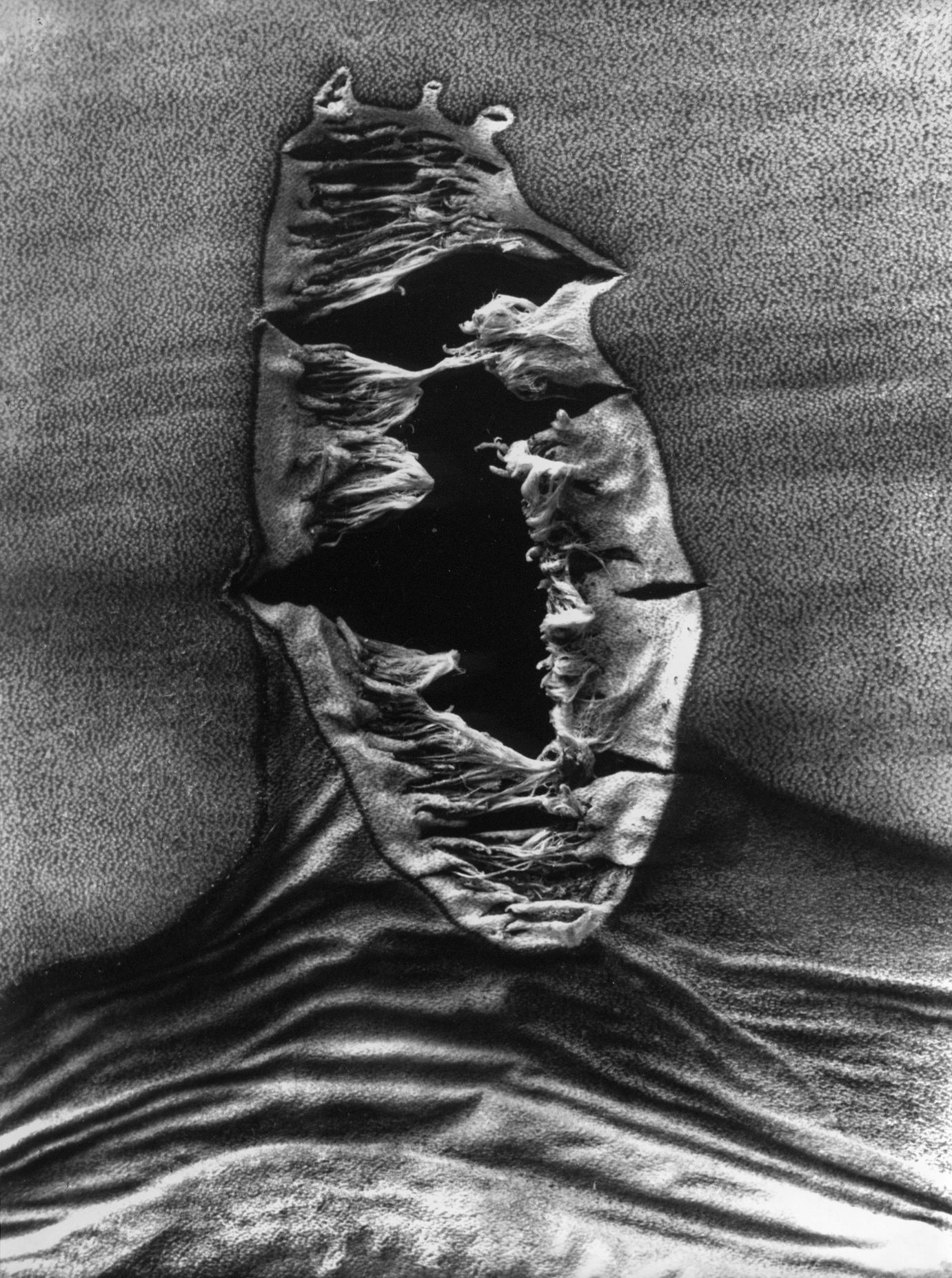 Výstava: Vilém Reichmann. Každá věc je počátkem básně - Aktuálně.cz