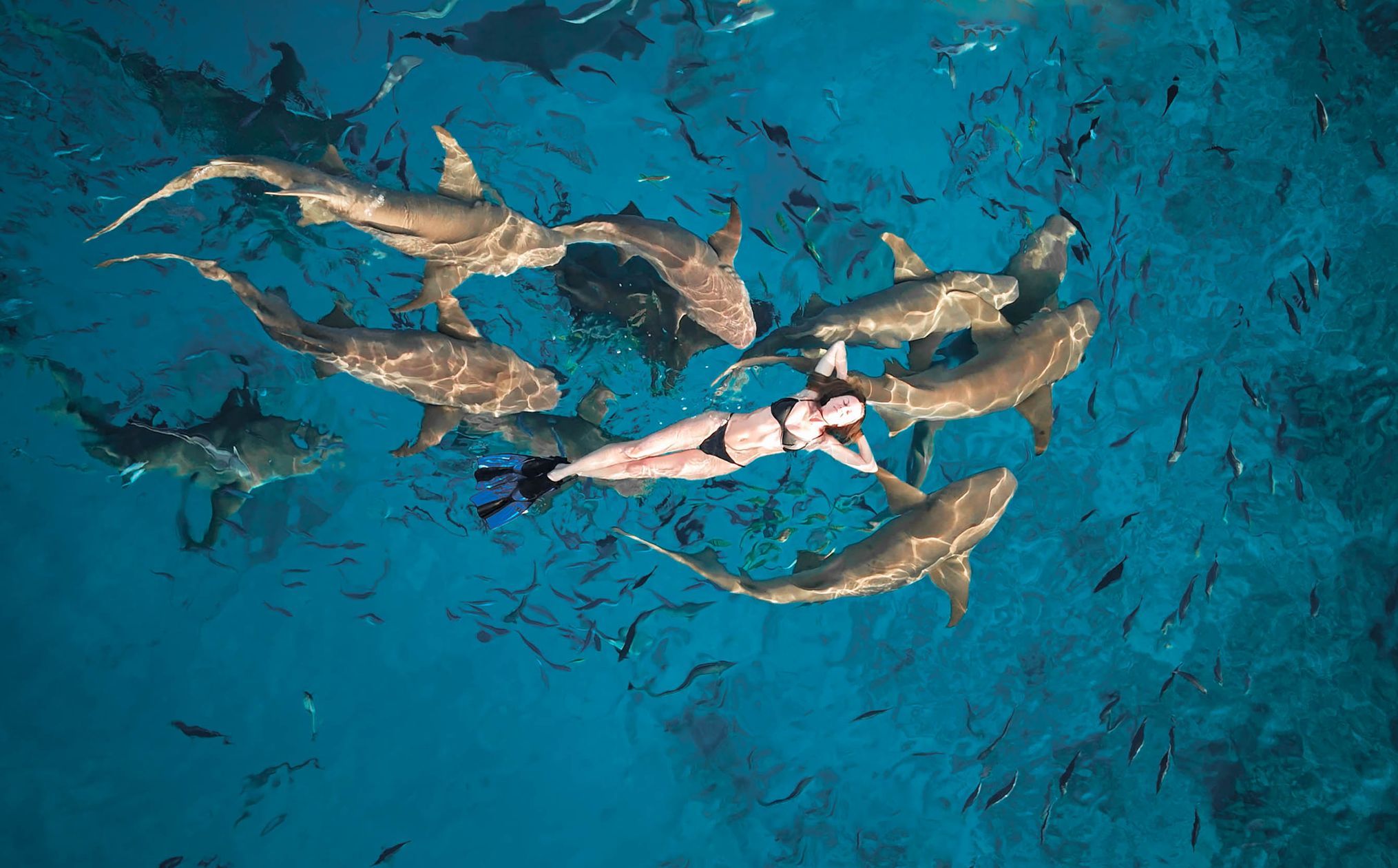 Ohrnují nos, ale pak chtějí recept. Češky ukazují, že Maledivy nejsou ...