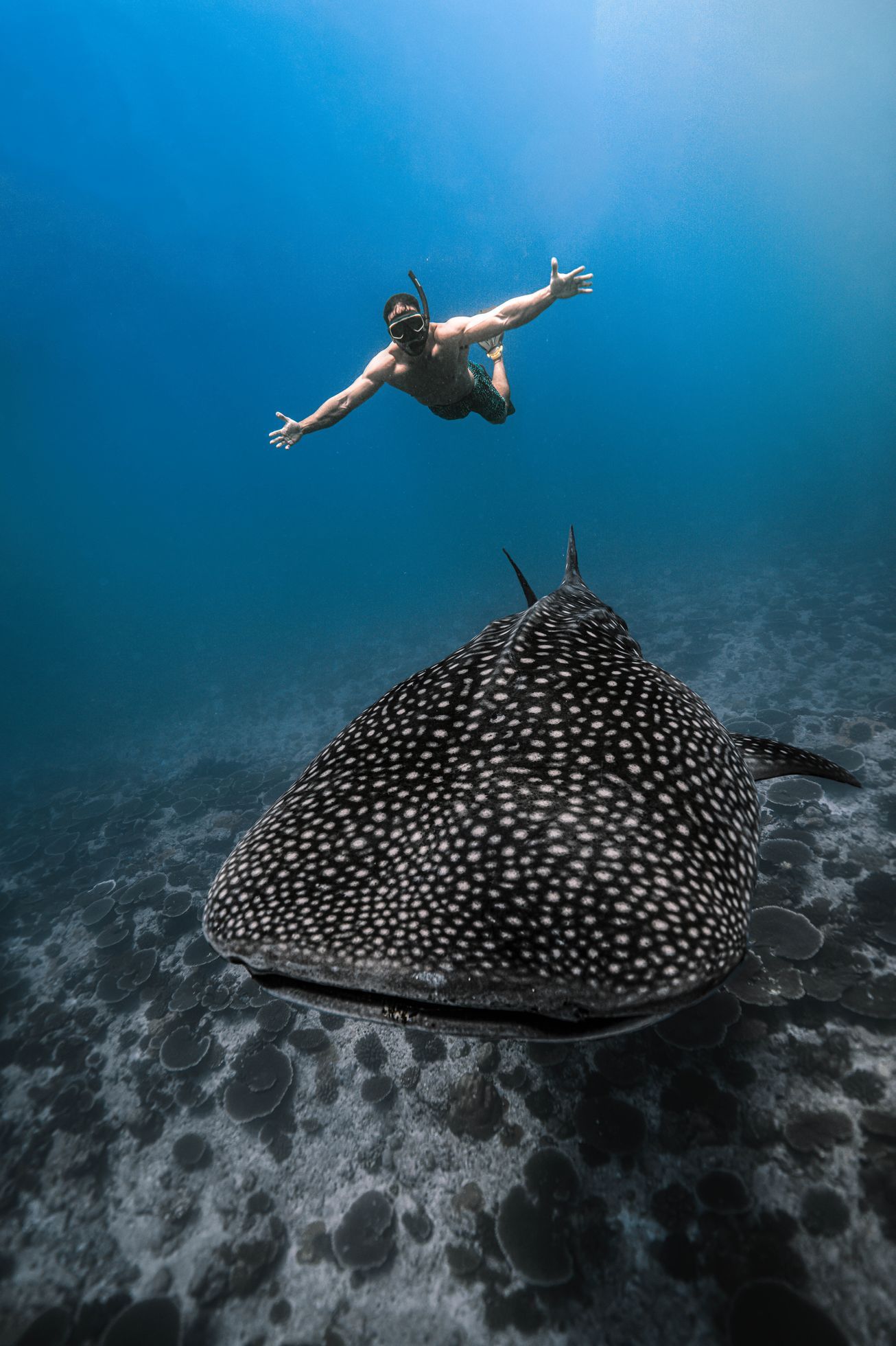 Ohrnují nos, ale pak chtějí recept. Češky ukazují, že Maledivy nejsou ...