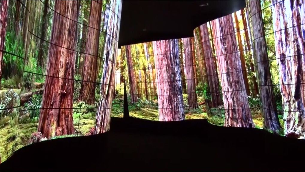 Obrazovka se sroluje jako noviny. LG odhalila první OLED rolovací ...