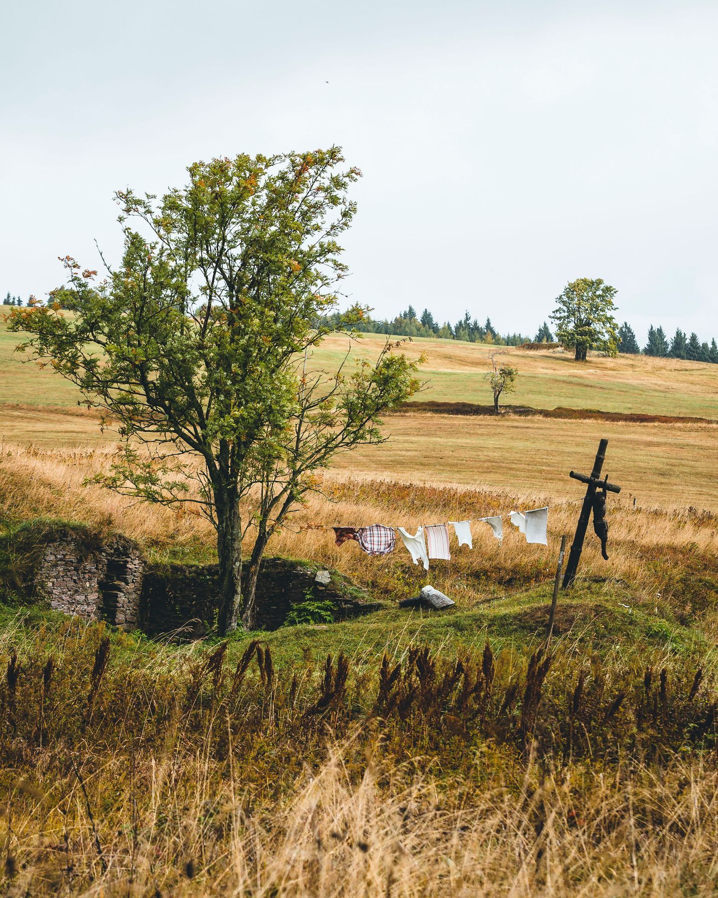 Foto: Bučiny i rašeliniště. Krásy Krušných hor, kde se příroda střetává ...