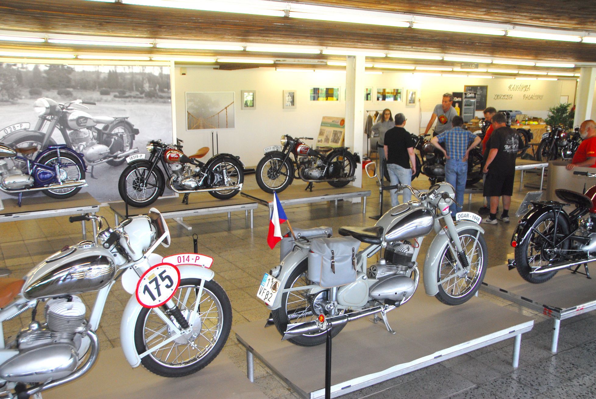 Ogar - Aktuálně.cz