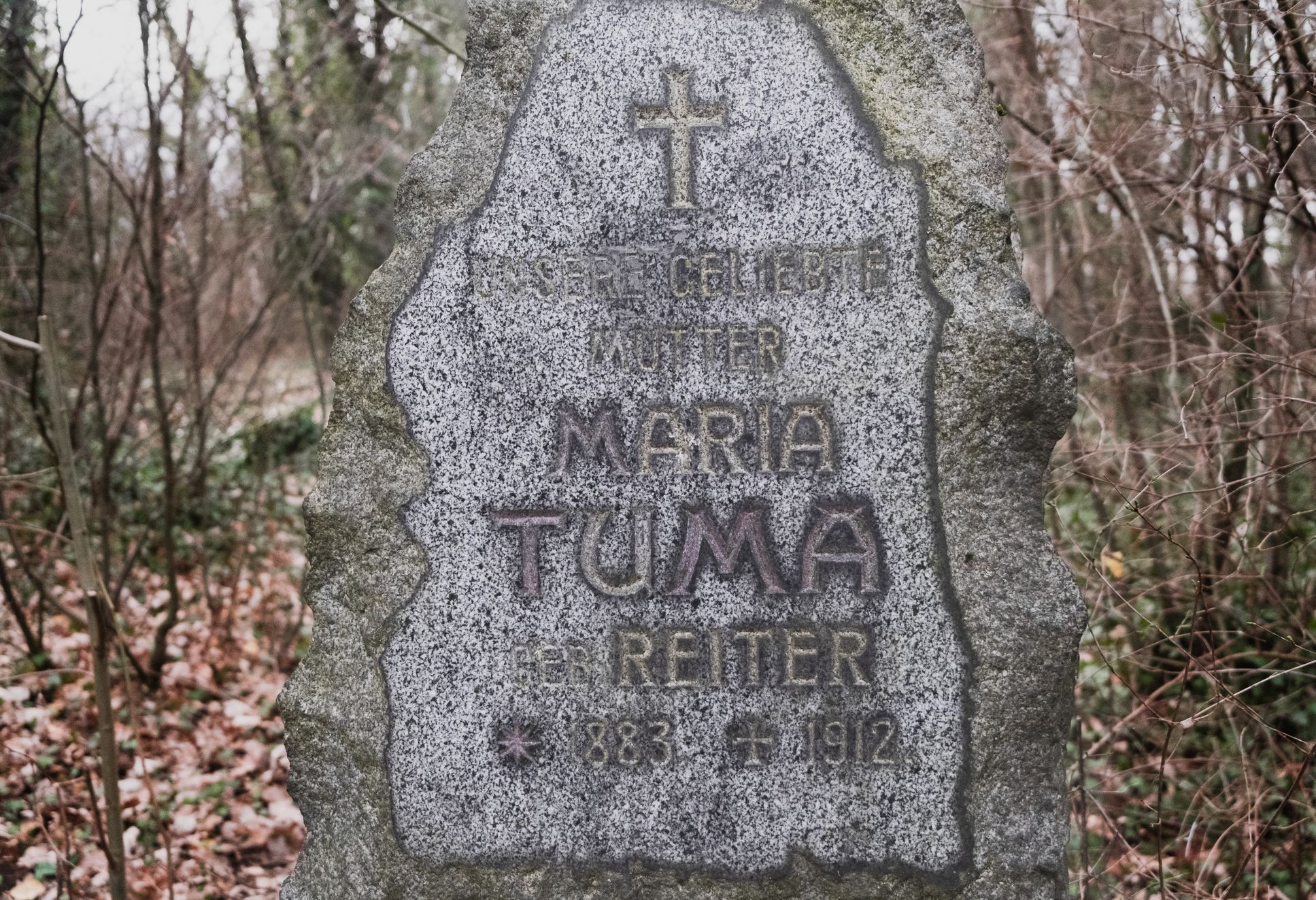 Hřbitov bláznů v pražských Bohnicích je nejděsivějším místem v Česku ...