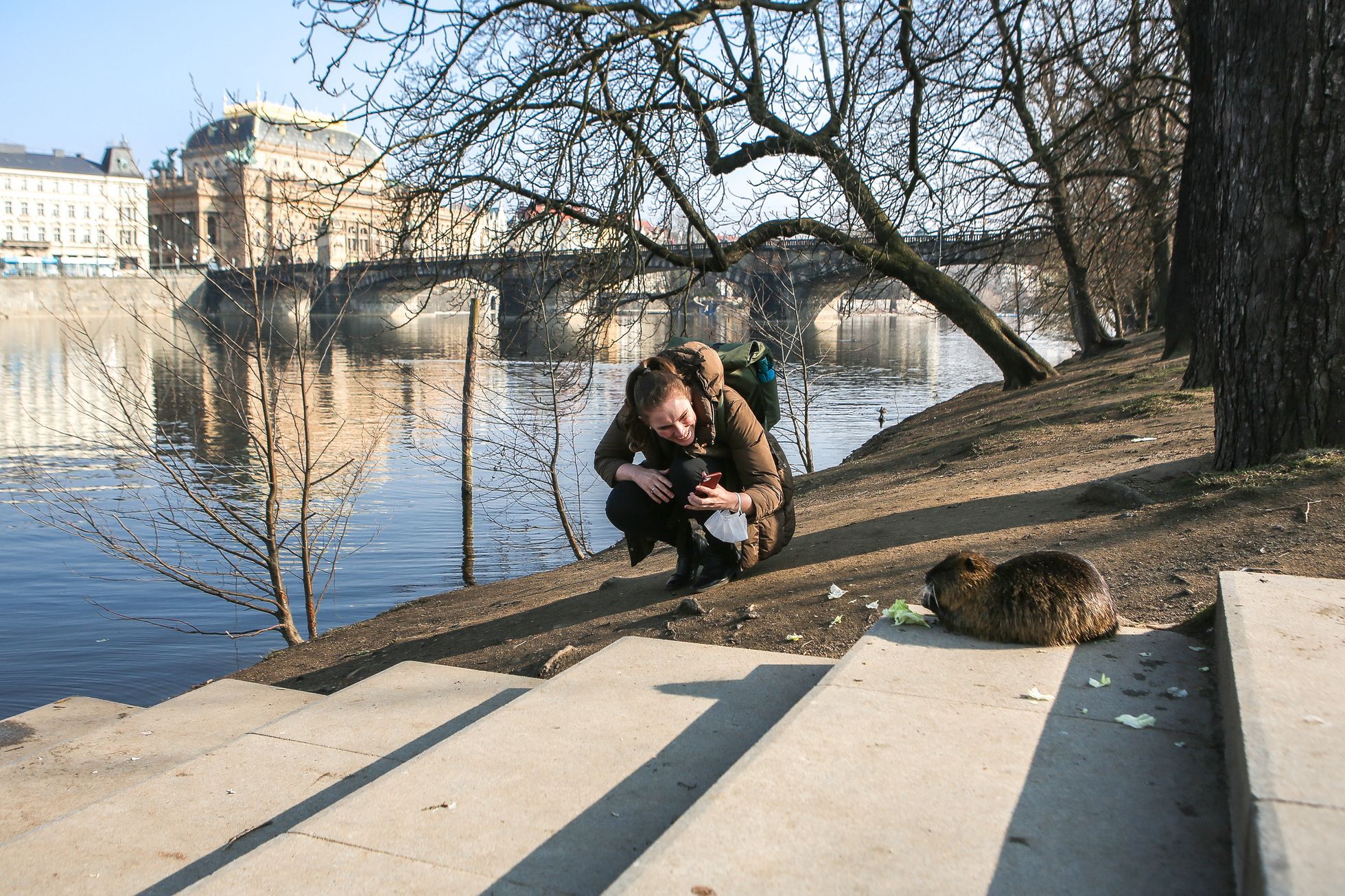 Foto: Nekrmte nutrie, prosí Praha. Chlupáči se ale stali atrakcí ...
