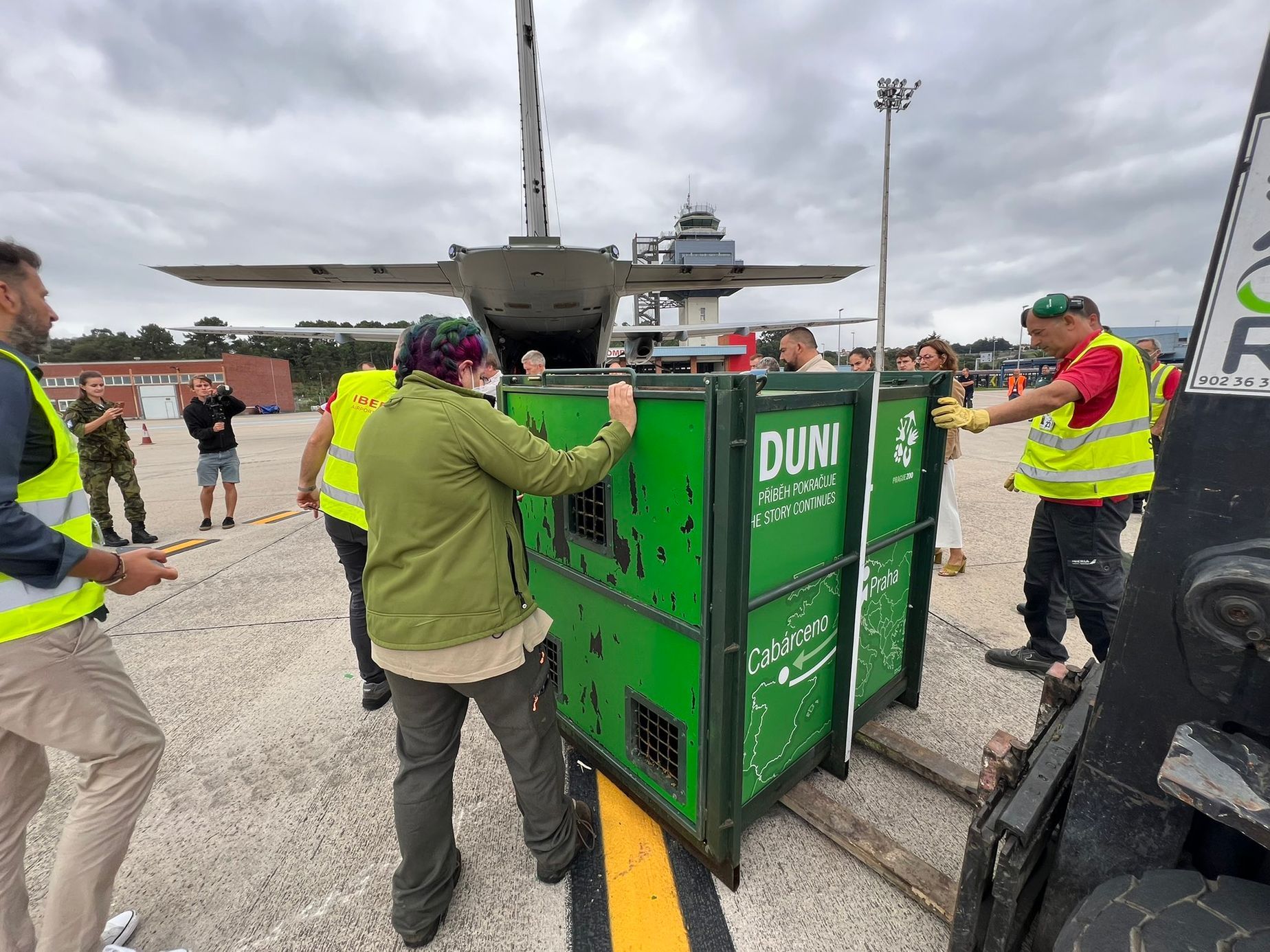 Pražská zoologická zahrada přivítala gorilí samici Duni, dceru slavné ...