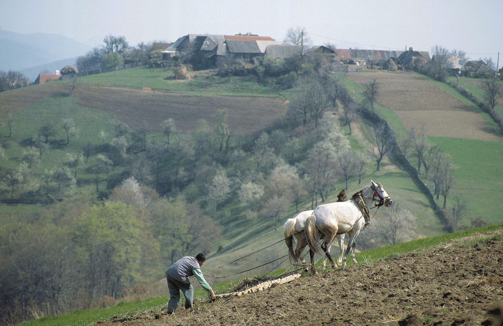 České vesnice v Banátu na historických snímcích - Aktuálně.cz