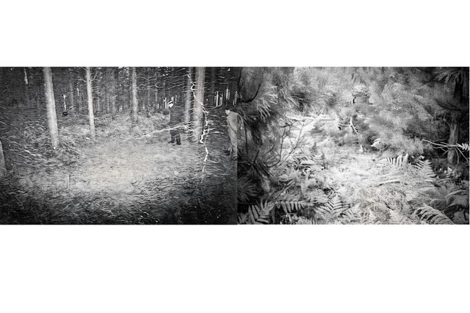 Britský Roswell: UFO incident v Rendlesham Forest 1980 a jeho děsivé ...