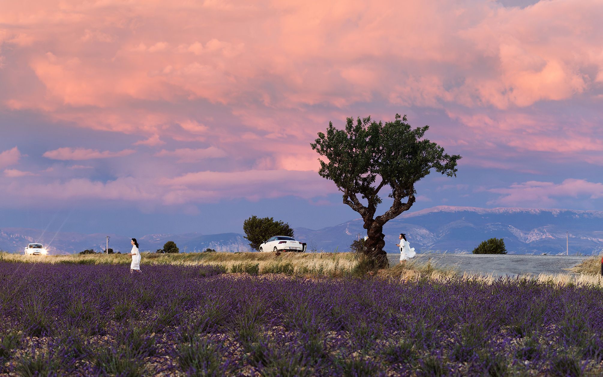 Obrazem: Omamná vůně levandulí v Provence. Užíval si ji i český malíř ...