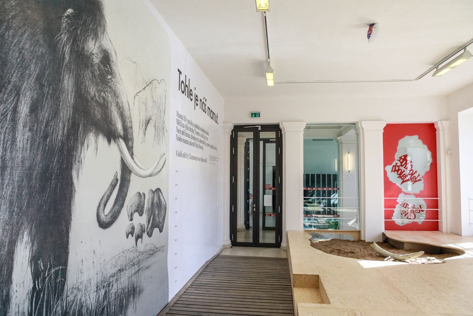 Valoch & Valoch, Moravská galerie, 2022, výstava - Aktuálně.cz