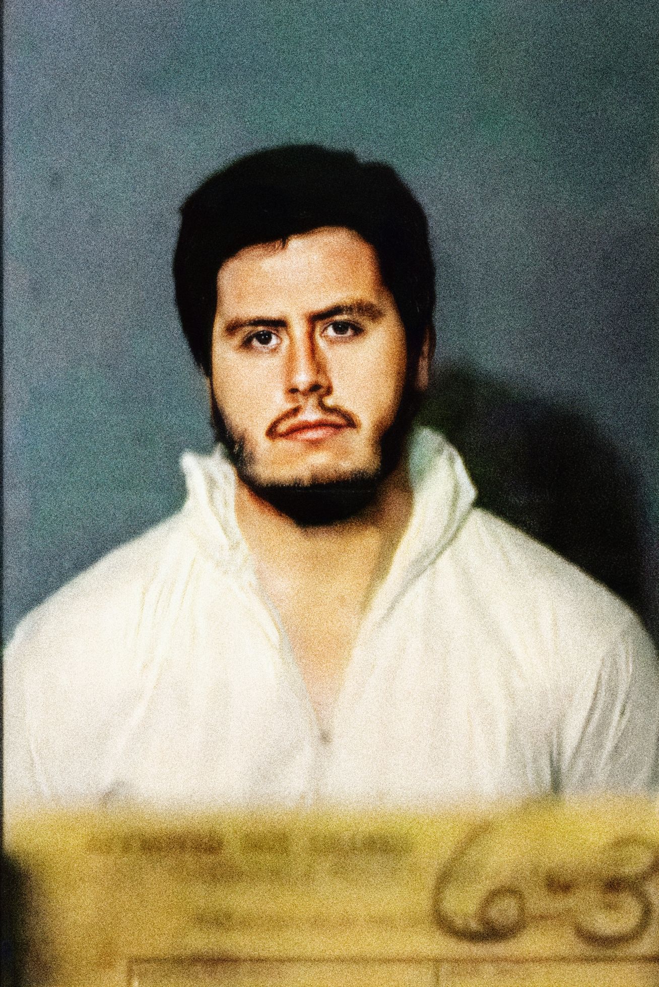 Larry Eugene Phillips / North Hollywood shootout, loupeže, loupež ...