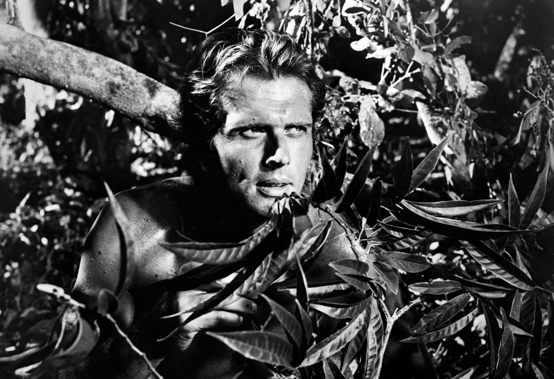 Foto: Zemřel Ron Ely, představitel Tarzana a Muže z bronzu. Manželku mu ...